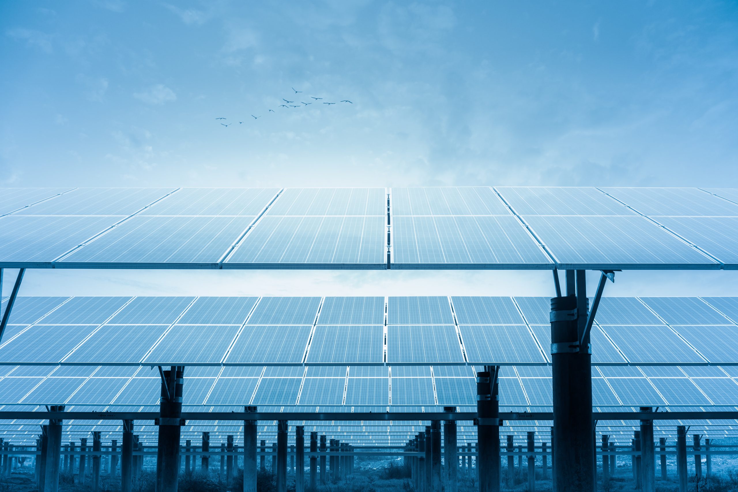 solarskill KEY SOLUTIONS FOR SUN ENERGY - solarskill